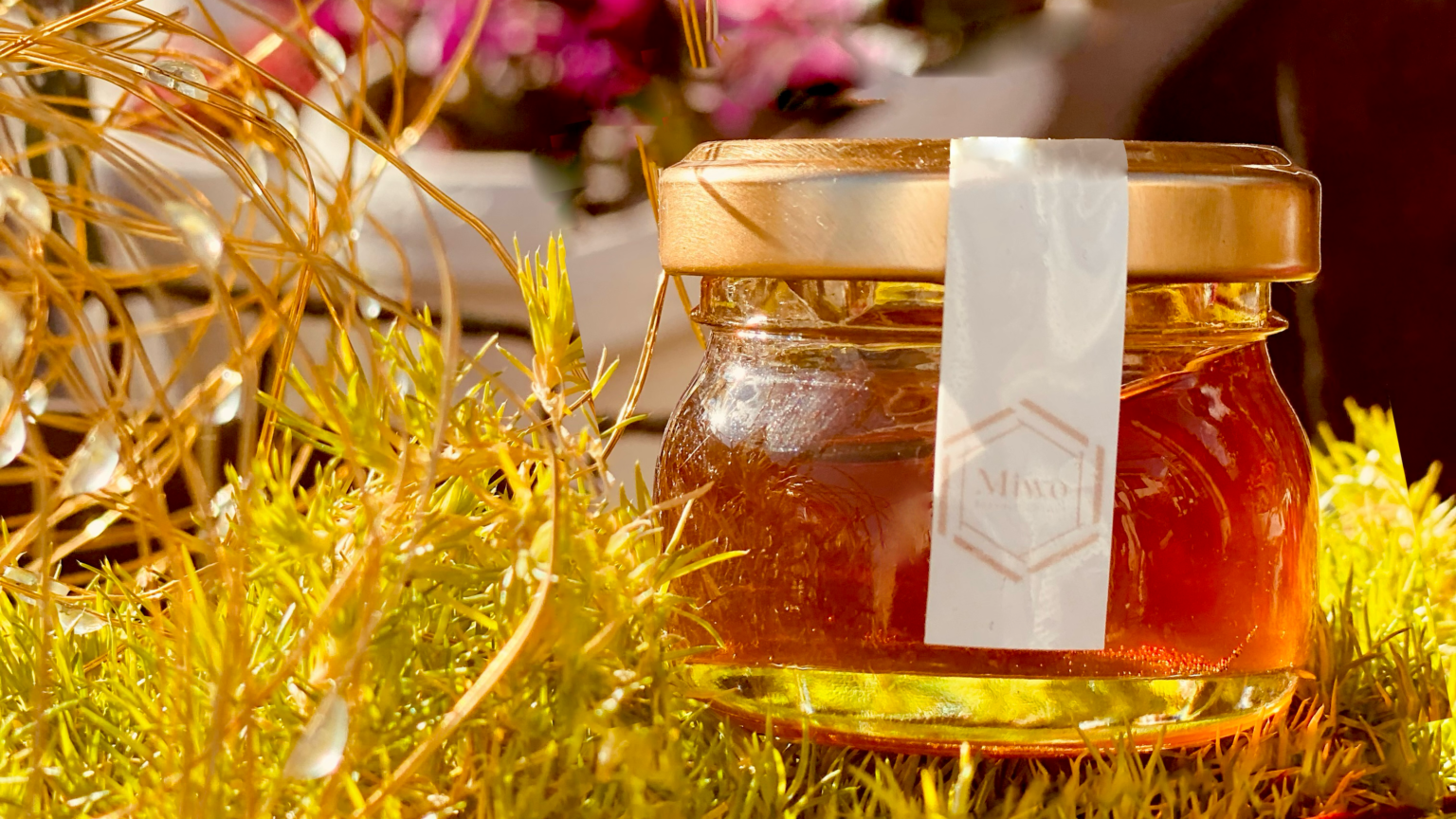 私たちMiwoの取り組み | Miwo | 国産はちみつ専門店